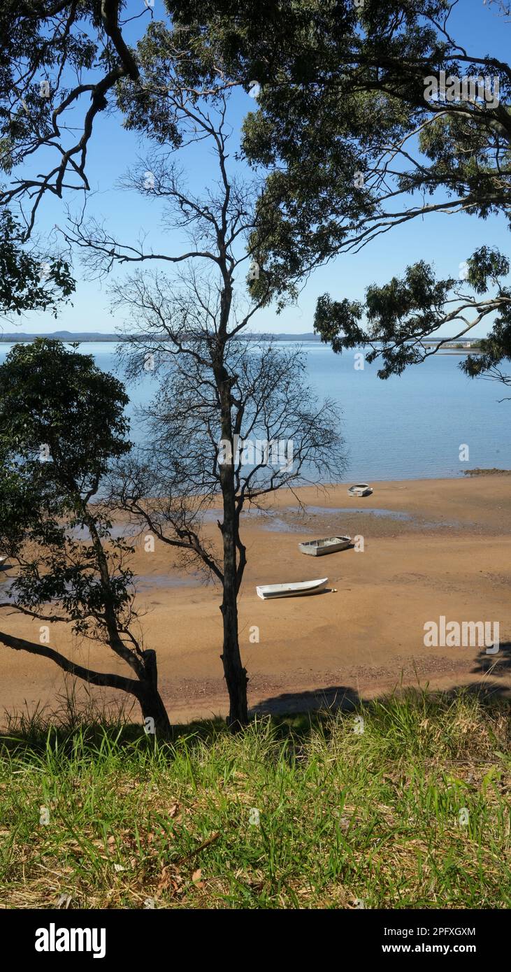 View from our high vantage point down through trees to boats resting on ...