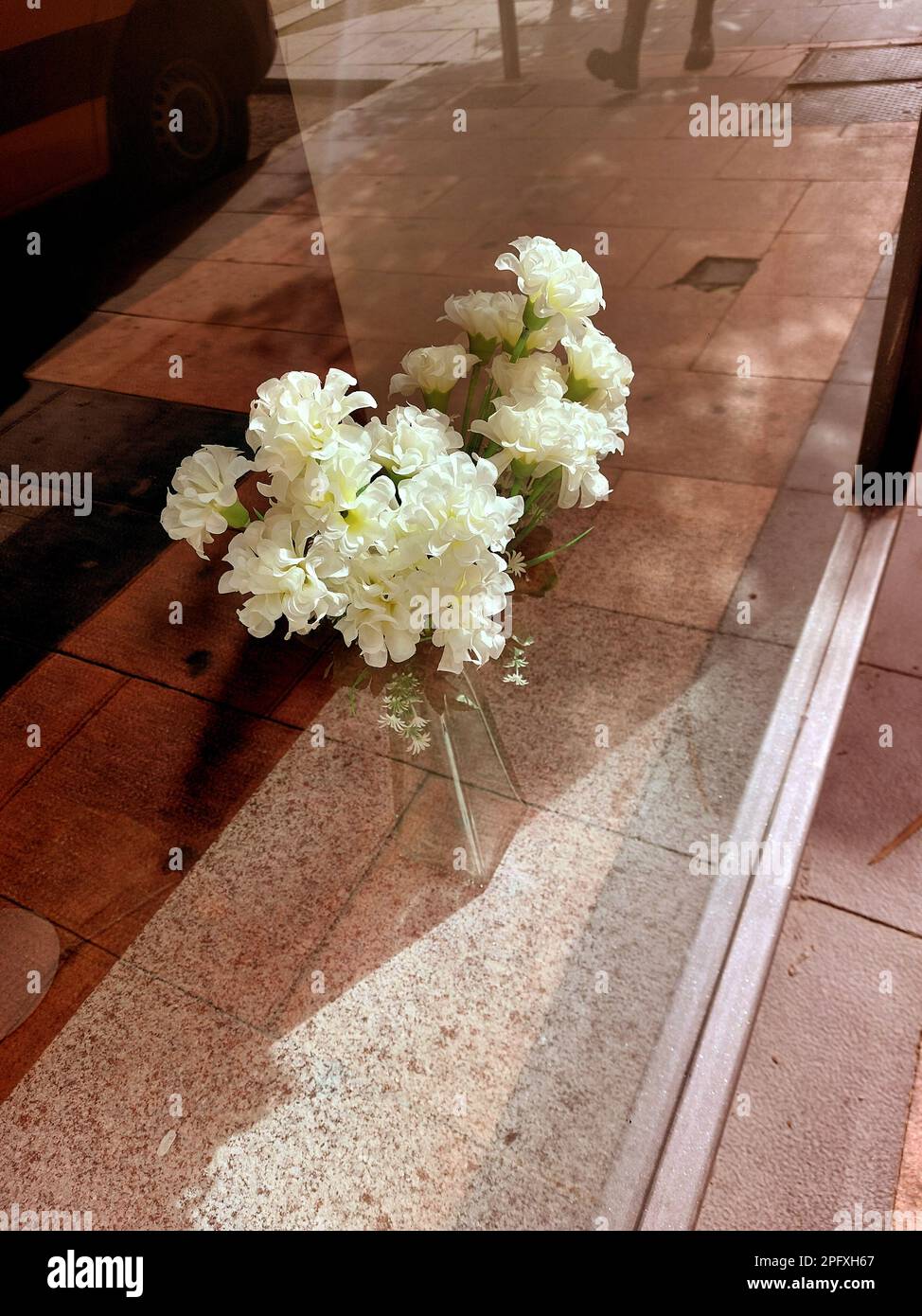 flowers seen from the window Stock Photo - Alamy