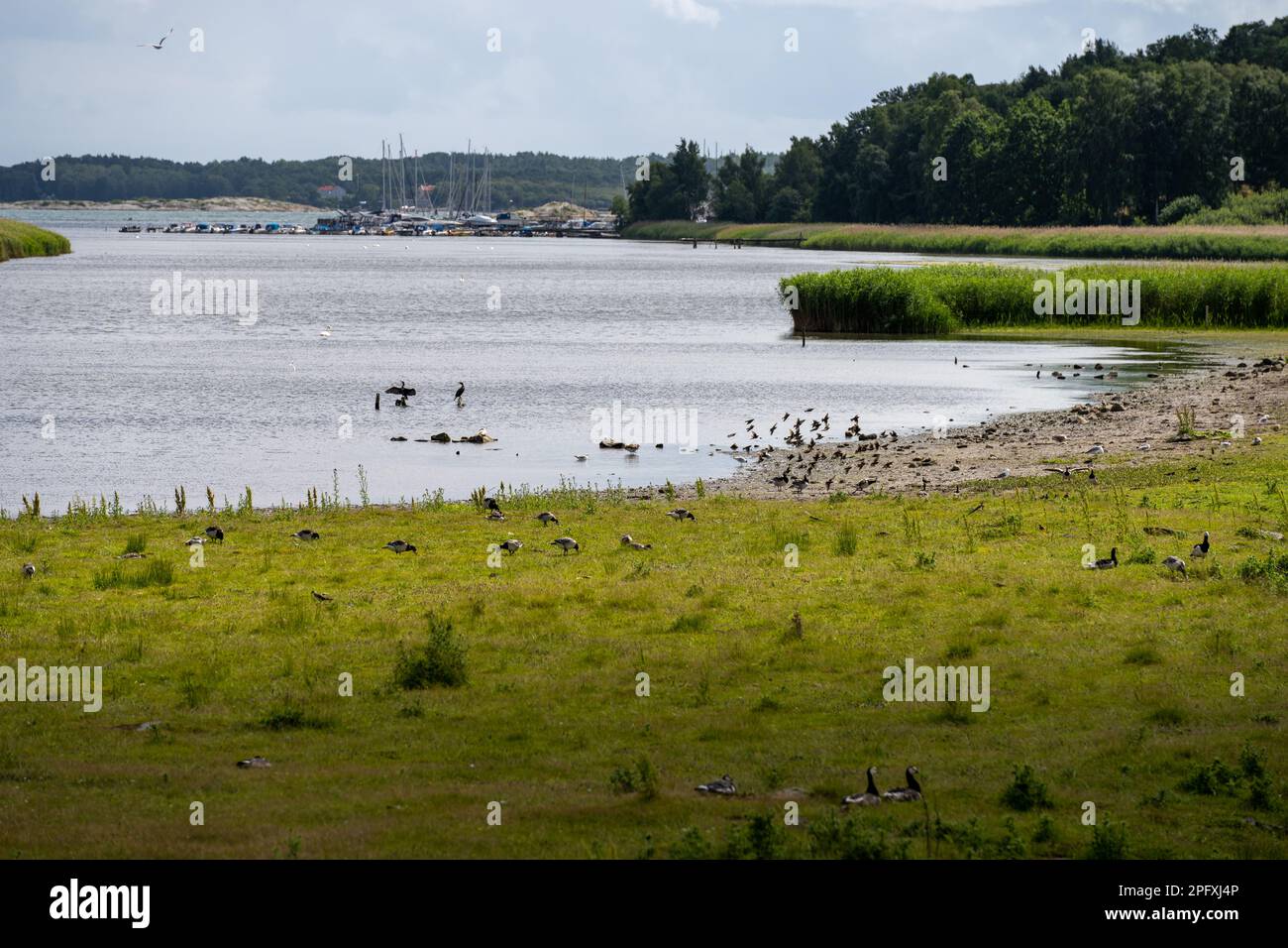 Protected wetlands hi-res stock photography and images - Alamy