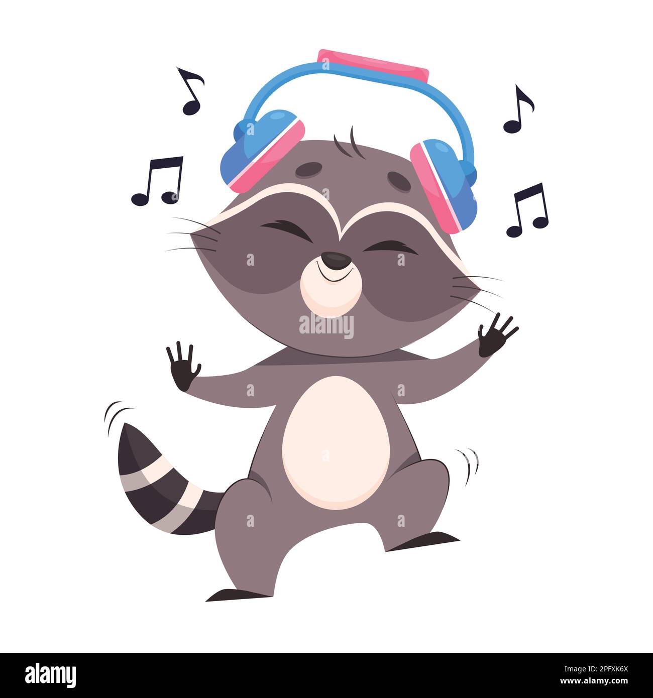 Grey racoon hi-res stock photography and images - Alamy