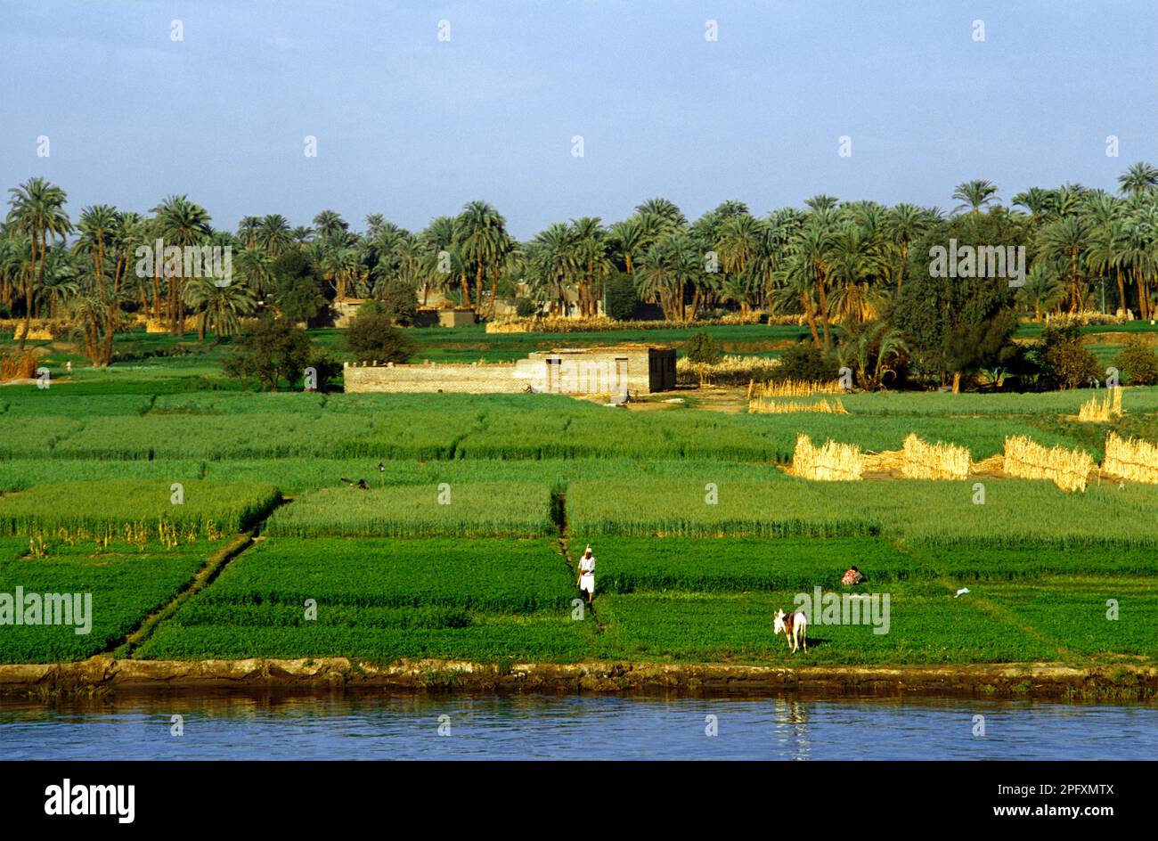 Nile river egypt farmers hi-res stock photography and images - Alamy
