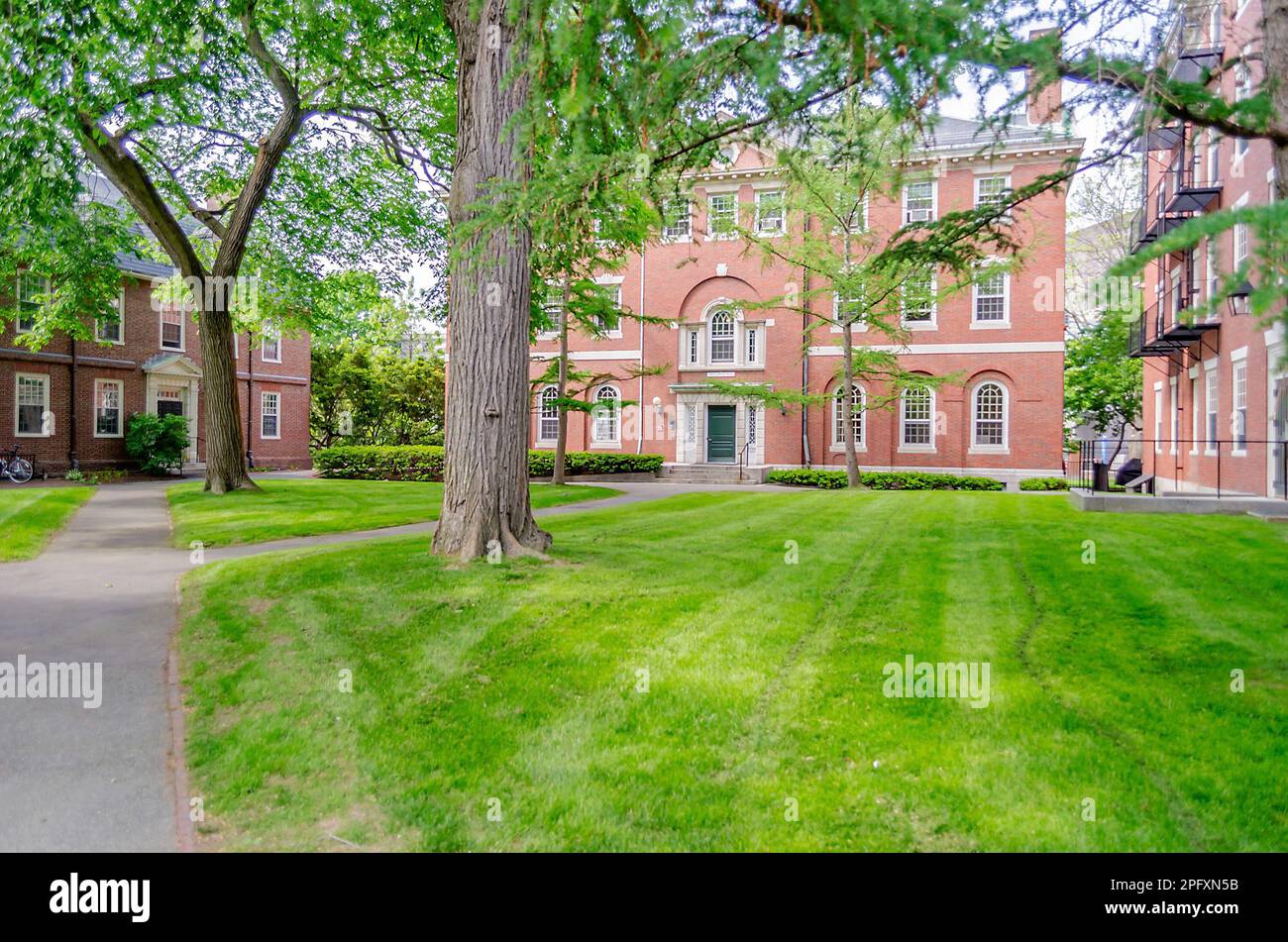 Inside the legendary Harvard University Campus in Cambridge, USA Stock ...