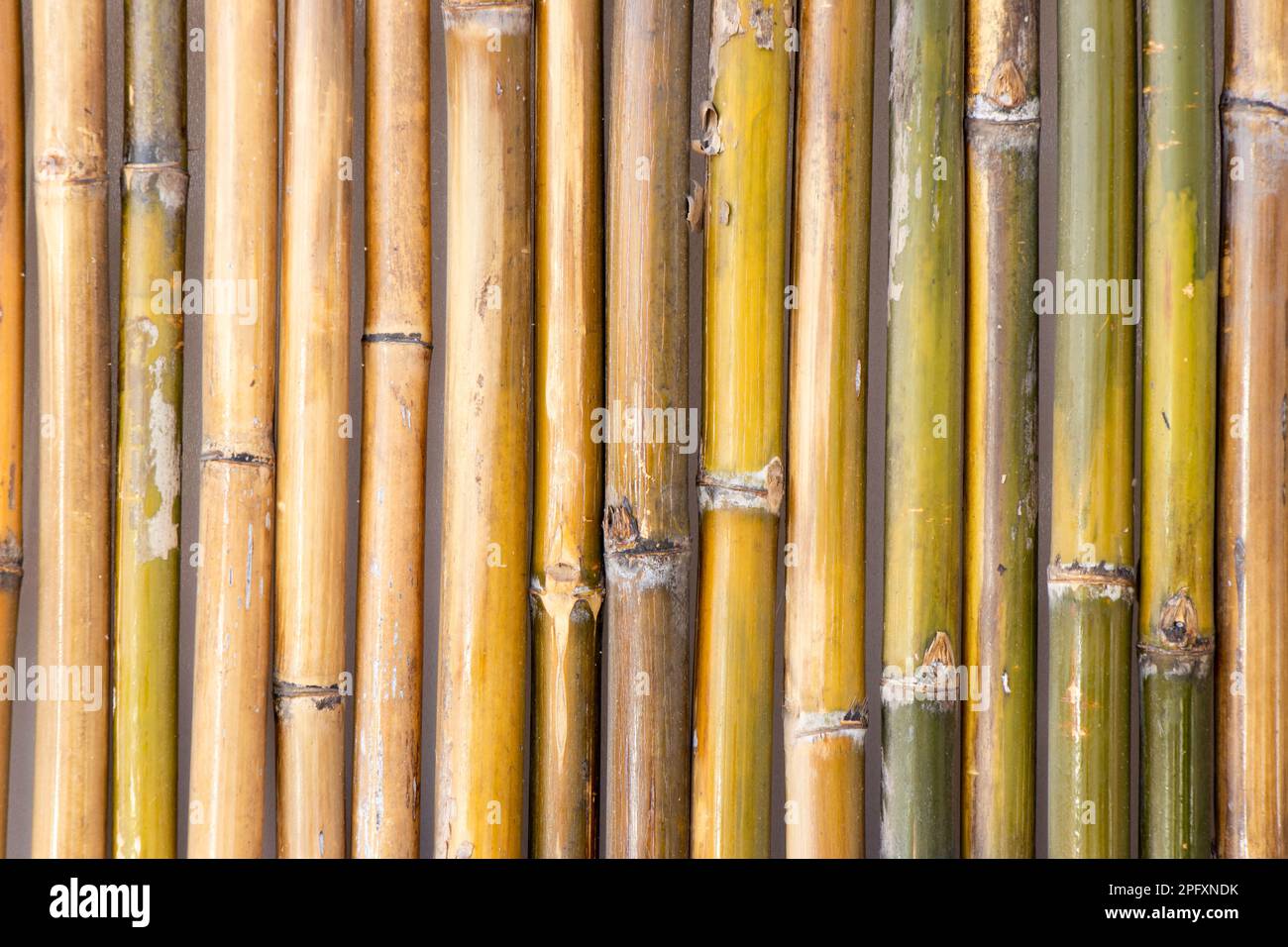 Grunge yellow bamboo plate textured background for decoration with copy ...