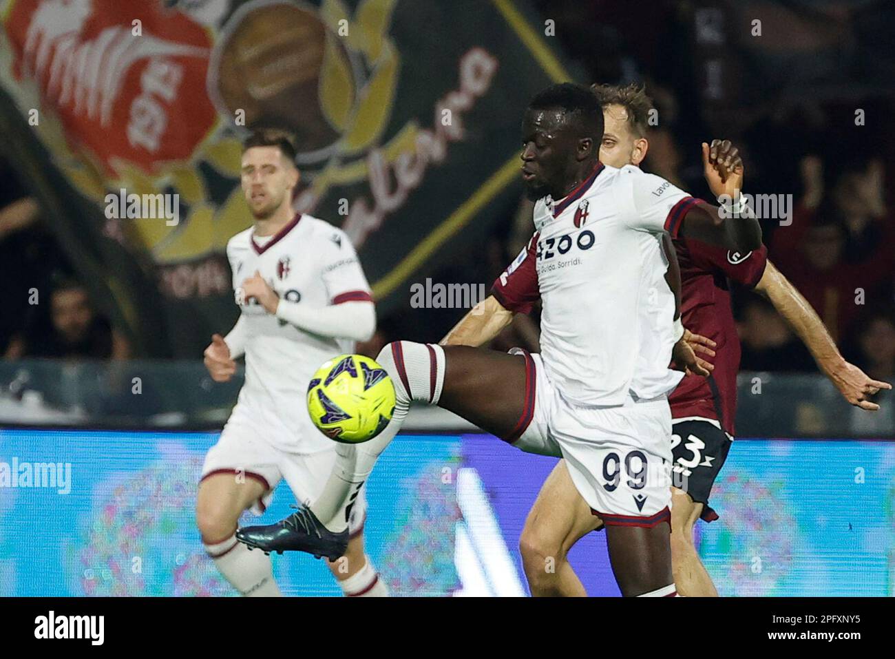 Musa seria hi-res stock photography and images - Alamy