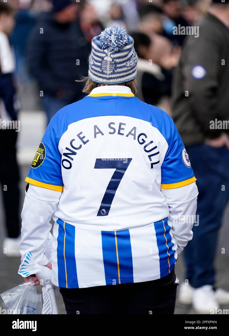 A Brighton fan wearing a strip with the words Once A Seagull ahead of ...