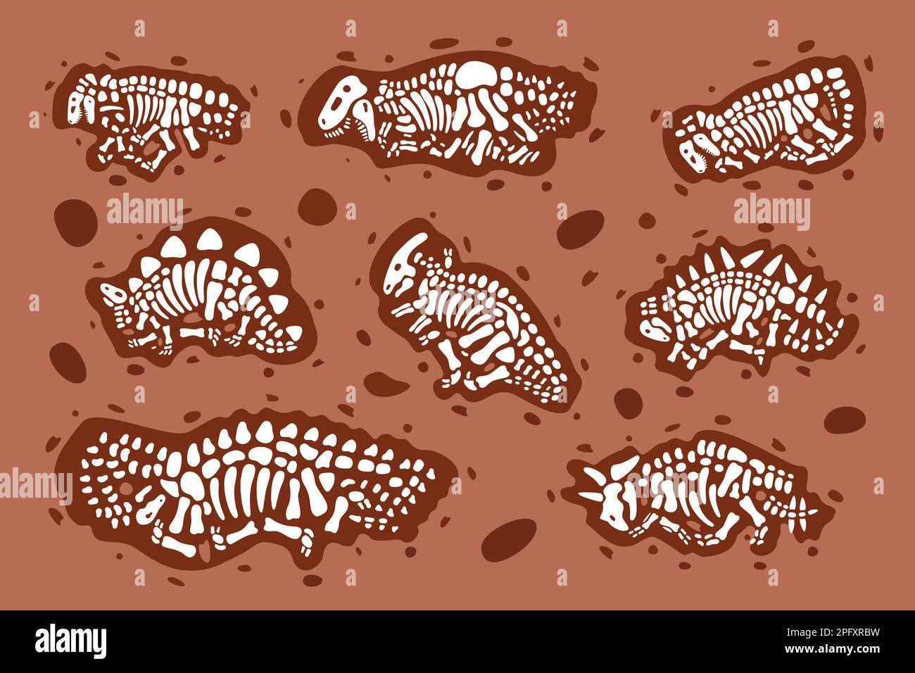 Set of dinosaur fossils bones. Triceratops, Tyrannosaurus, Kentrosaurus ...