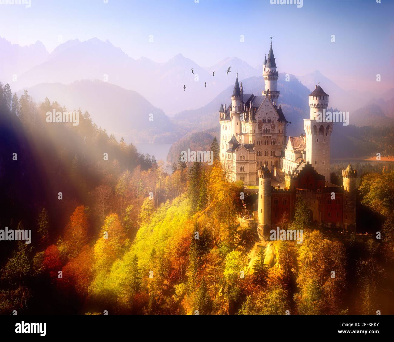 DE - BAVARIA: Neuschwanstein Castle near Fuessen Stock Photo - Alamy