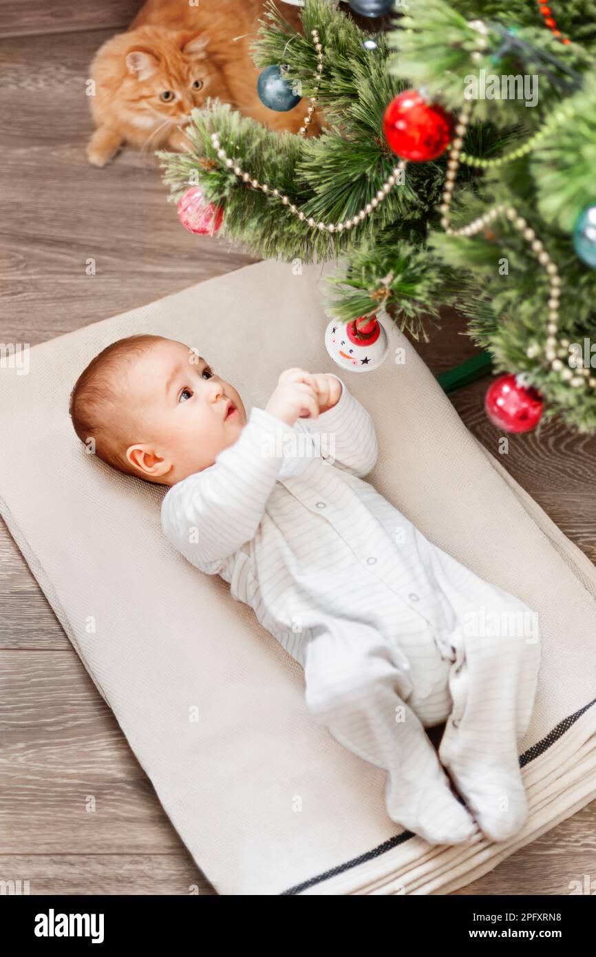 Cute baby and ginger cat lay under Christmas tree. Little child plays ...