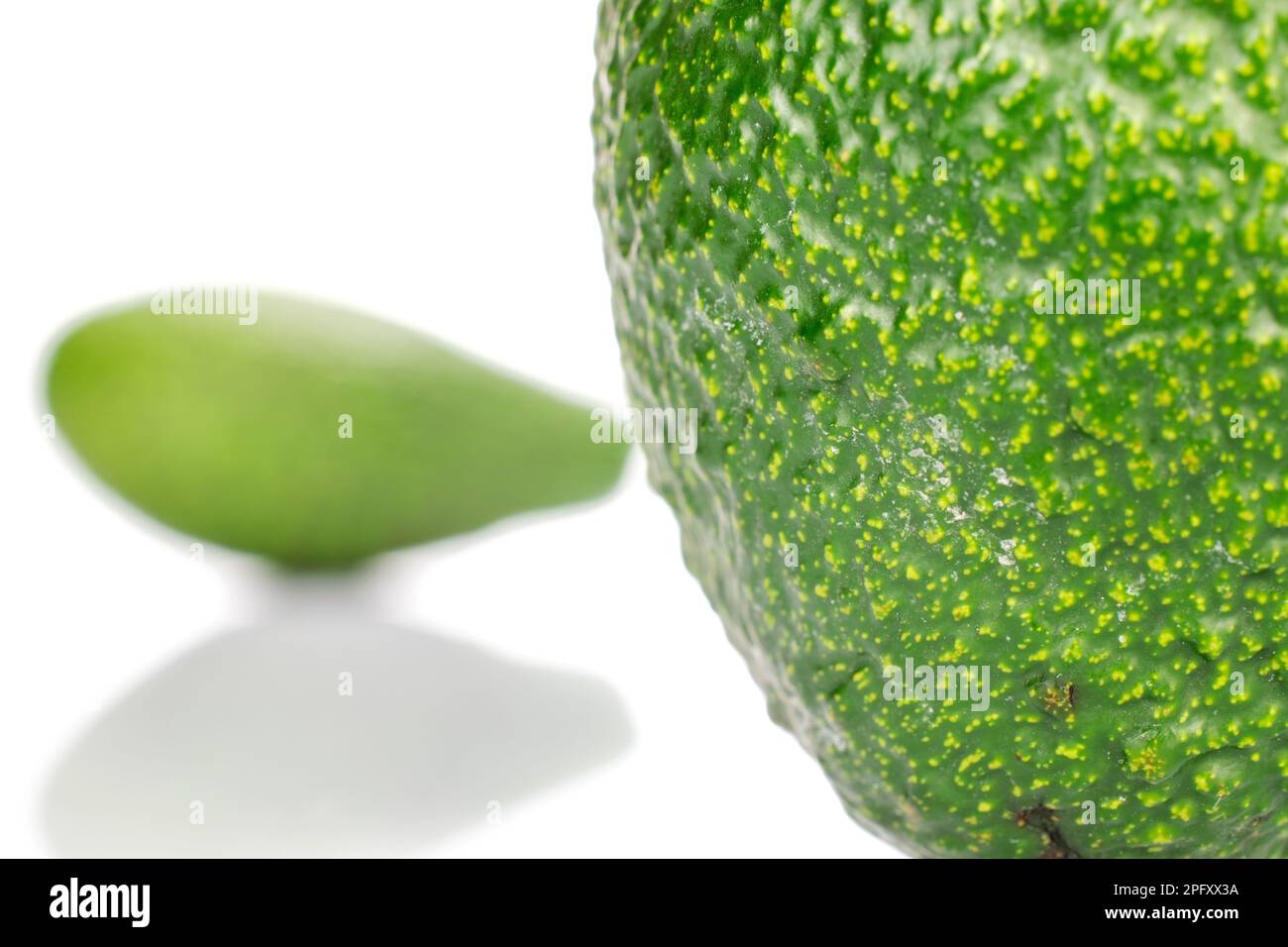 Two dark green ripe organic avocados, macro, isolated on white ...