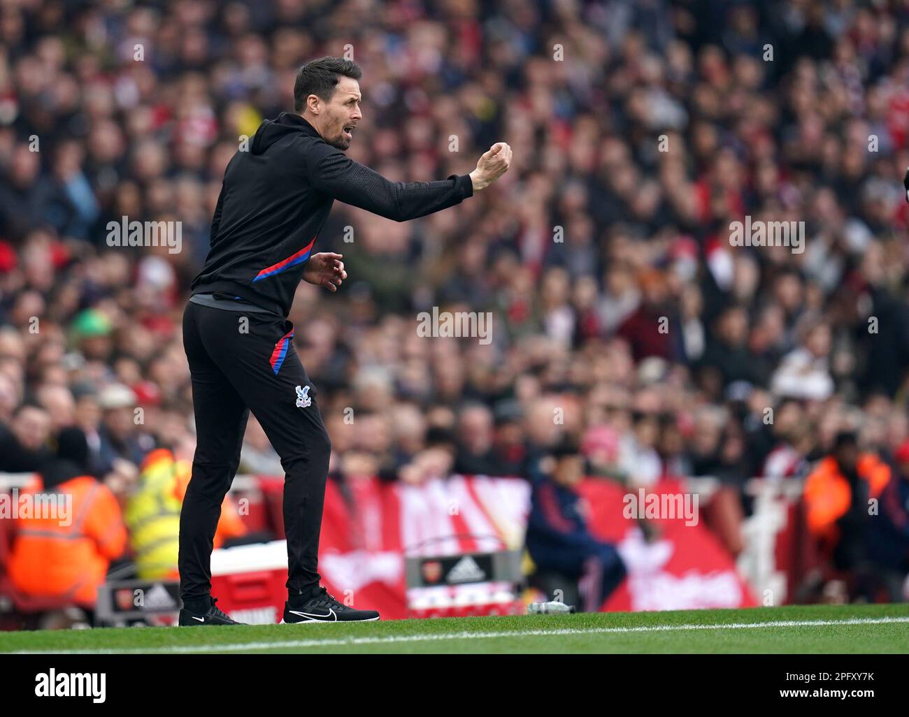 Crystal Palace interim manager Paddy McCarthy on the touchline during ...