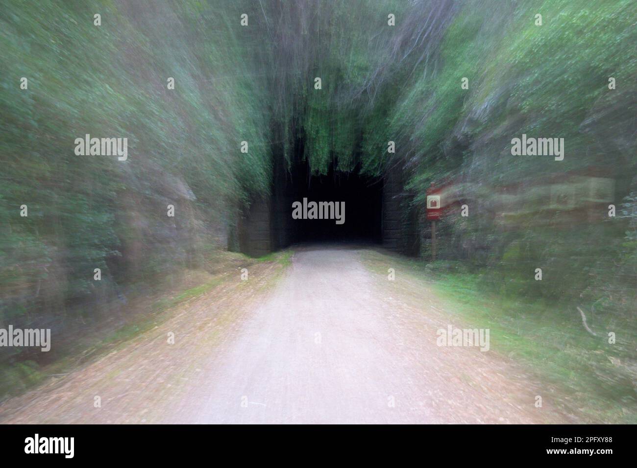 Tunnel in the greenway of La Plata with out of focus zoom effect Stock ...