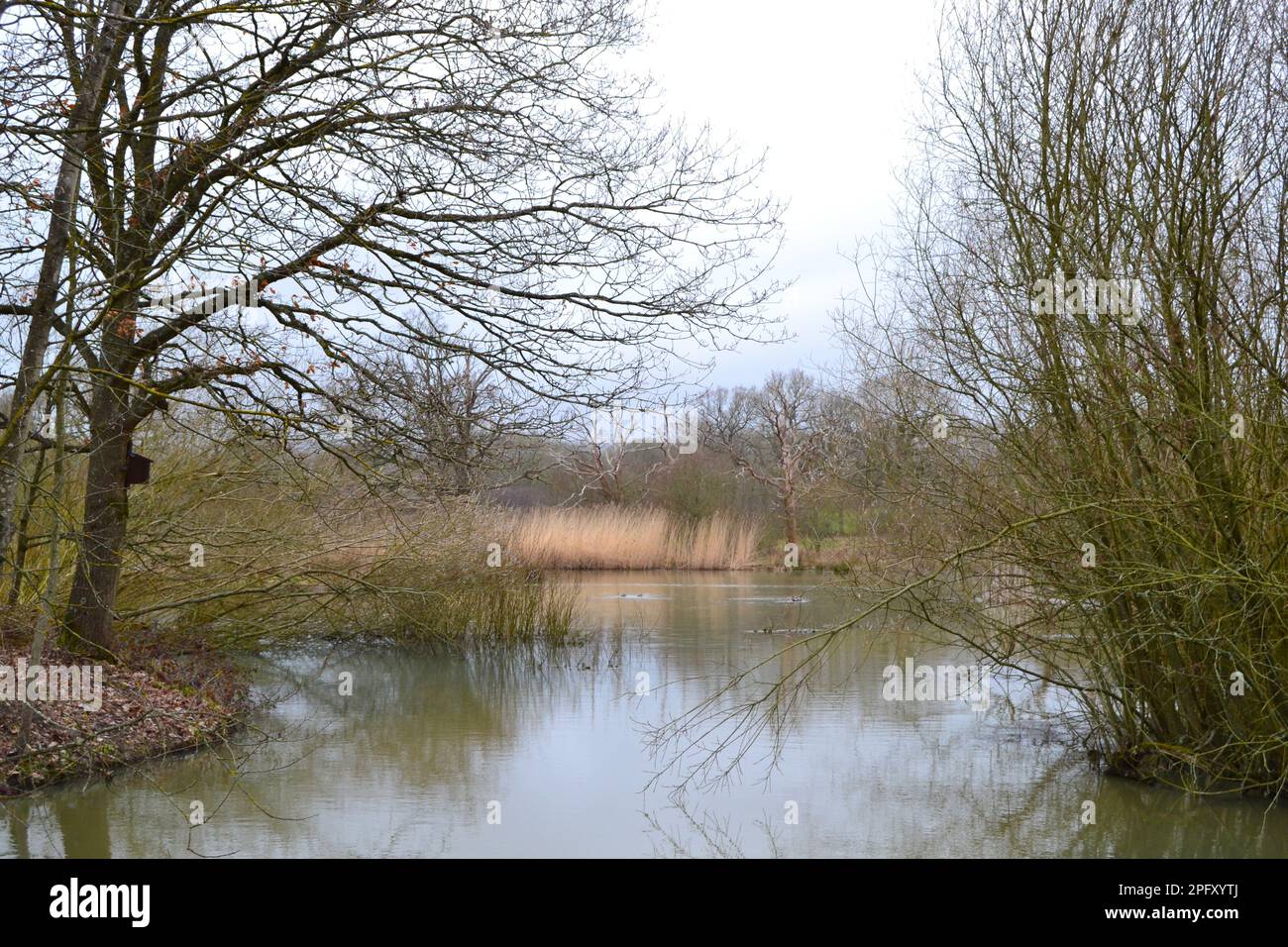 Bough Beech wildlife centre, former Kent Wildlife Trust centre ...