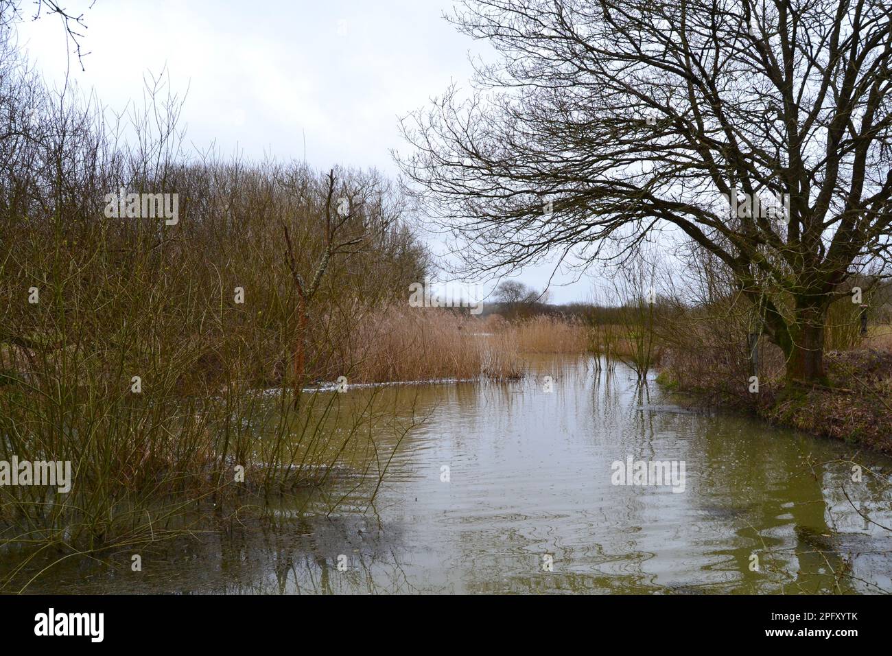 Bough Beech wildlife centre, former Kent Wildlife Trust centre ...