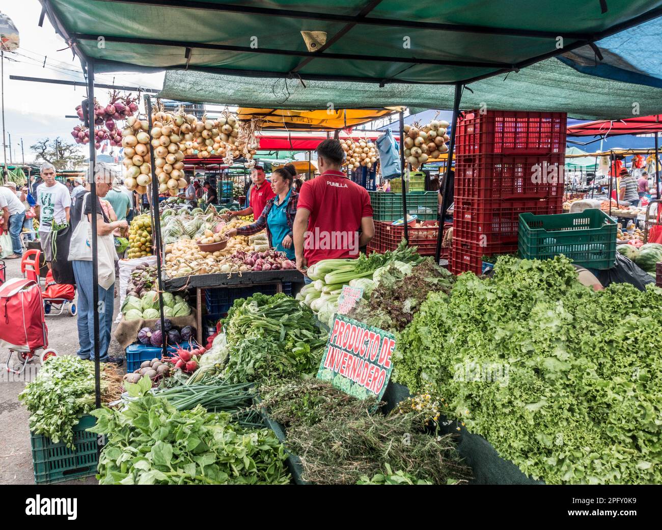 Food stalls at a farmers market in Costa Rica Stock Photo - Alamy