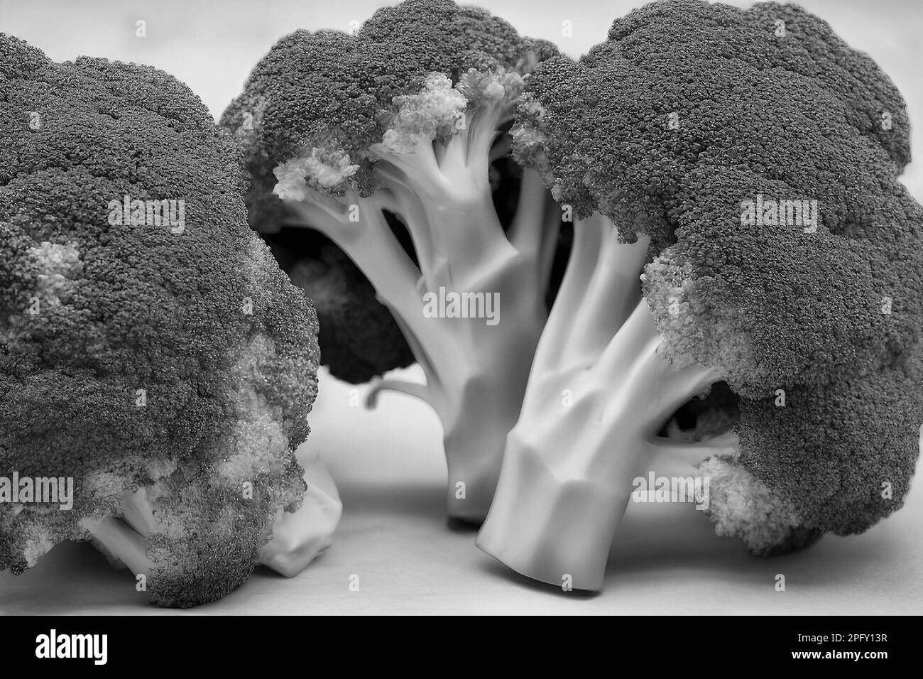 Broccoli picture Black and White Stock Photos & Images - Alamy