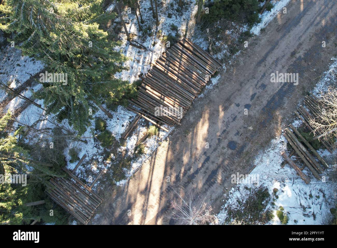 Wooden logs above top drone view in forest background Stock Photo - Alamy