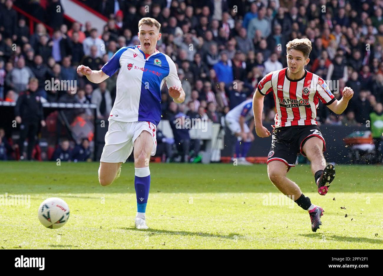 Andrew pears hi-res stock photography and images - Alamy