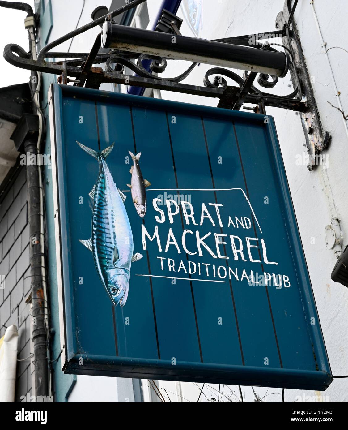 Sprat hi-res stock photography and images - Alamy