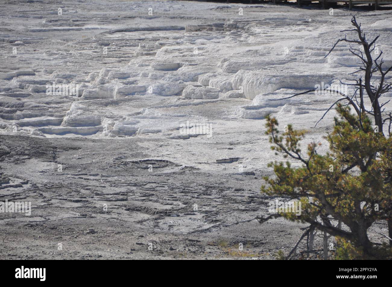 Yellowstone white precipitations Stock Photo - Alamy