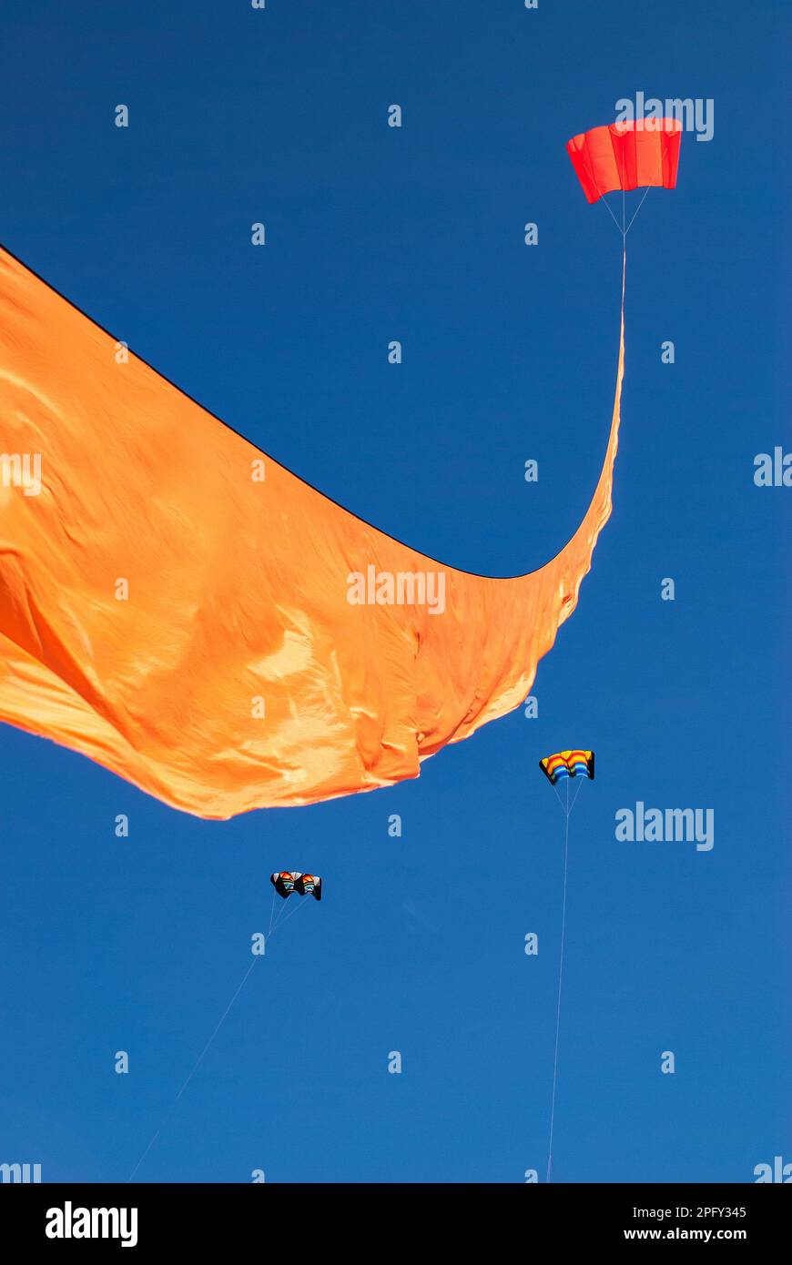 Professional kite flyers hi-res stock photography and images - Alamy