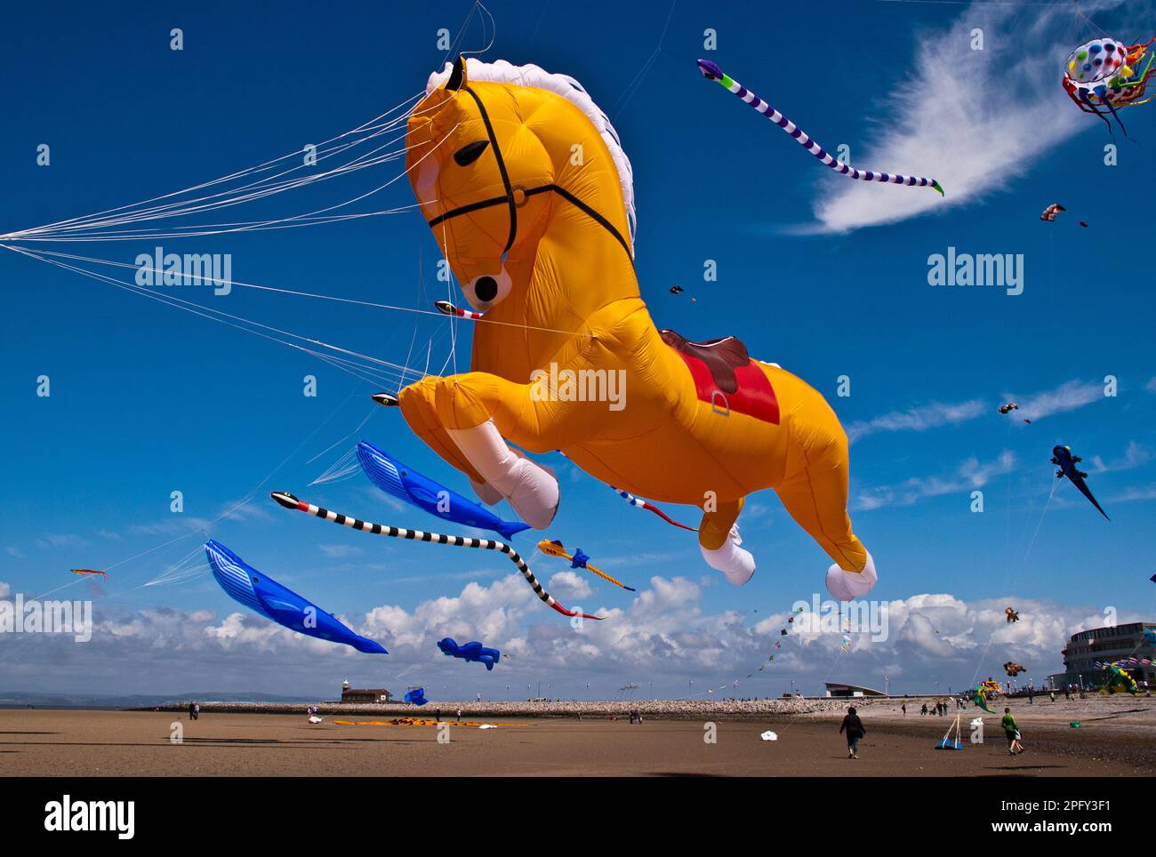Professional kite flyers hi-res stock photography and images - Alamy