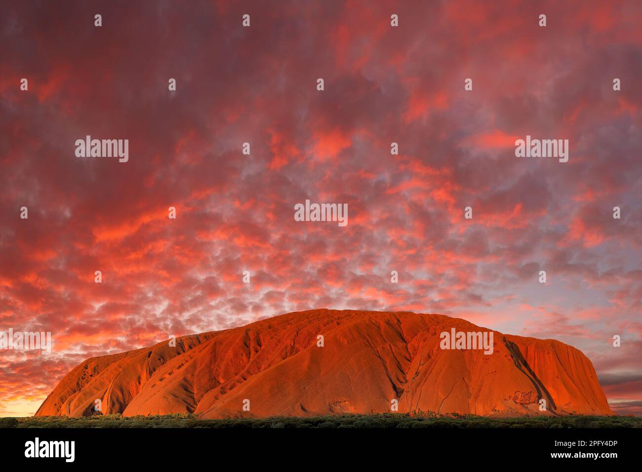 Australian 2023 hi-res stock photography and images - Alamy