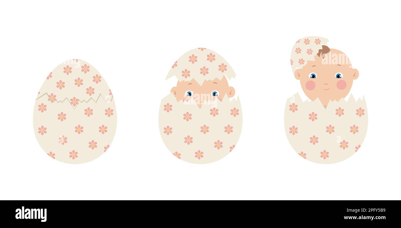 Human baby hatching from egg, embryo development evolution, vector ...