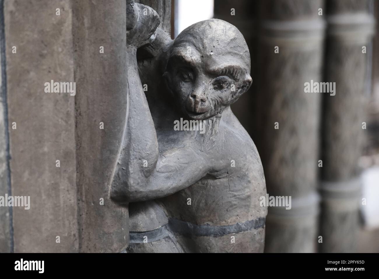 London natural history museum monkey hi-res stock photography and ...