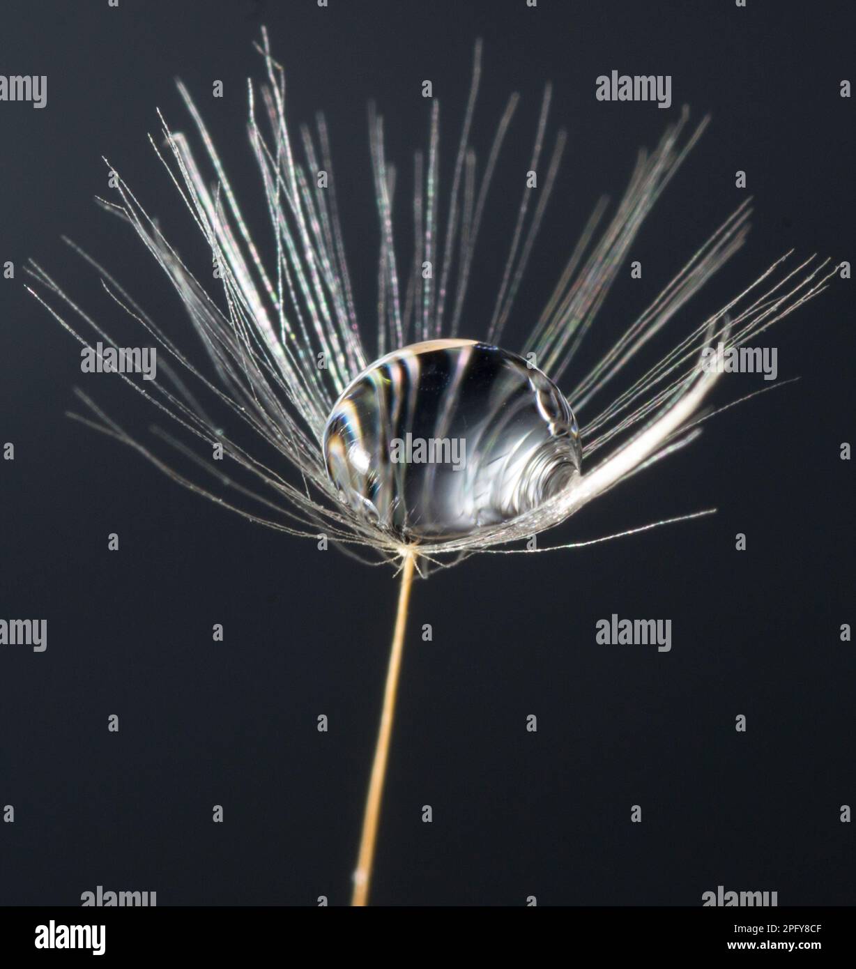 Spring Season 2023 US, GA Stock Photo - Alamy