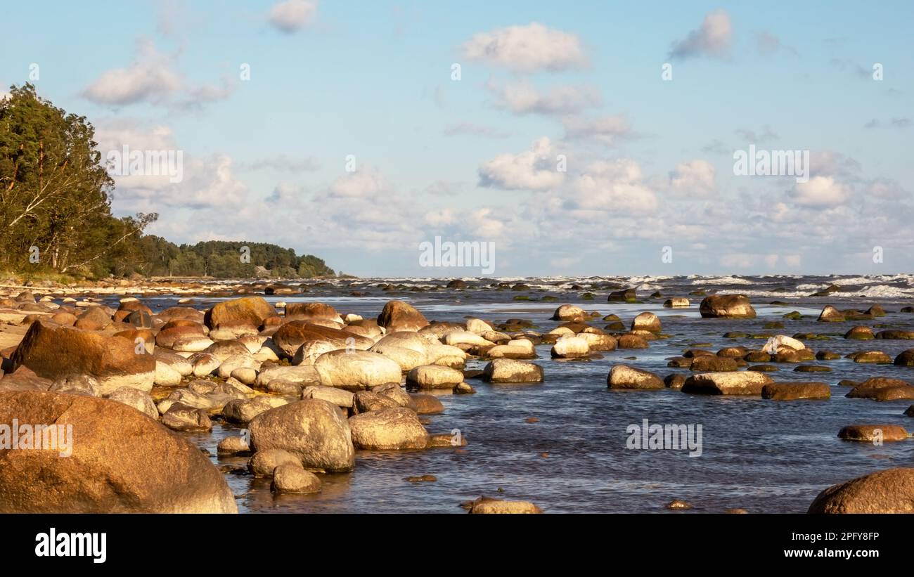 Rocky sea beach with green trees and clouds in the backgroun Stock ...
