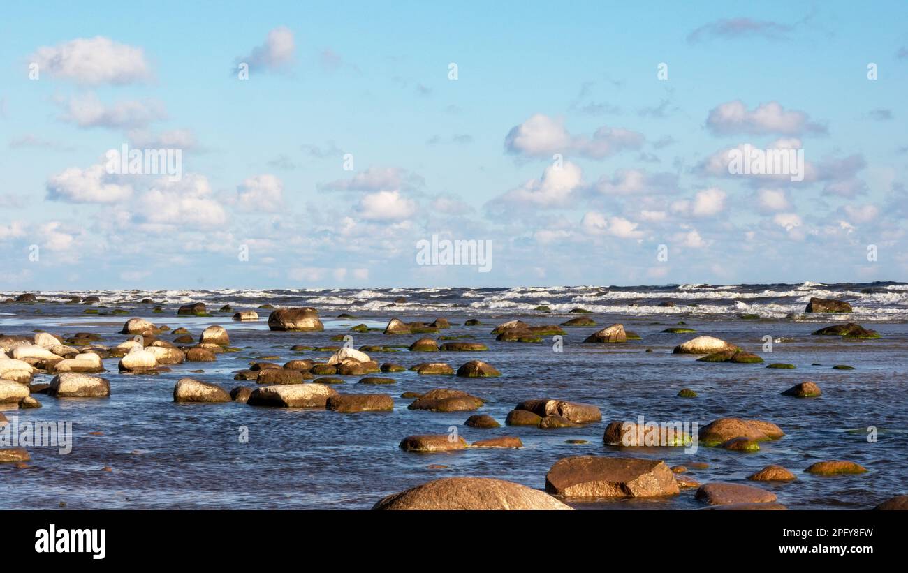 Rocky sea beach with green trees and clouds in the backgroun Stock ...