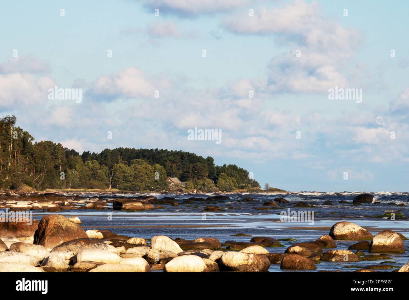 Rocky sea beach with green trees and clouds in the backgroun Stock ...