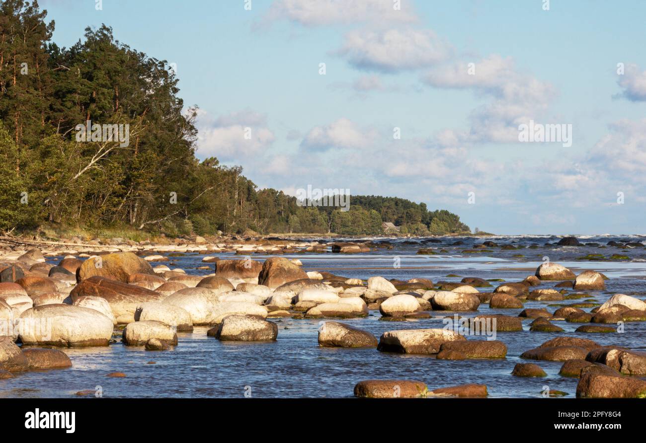 Rocky sea beach with green trees and clouds in the backgroun Stock ...