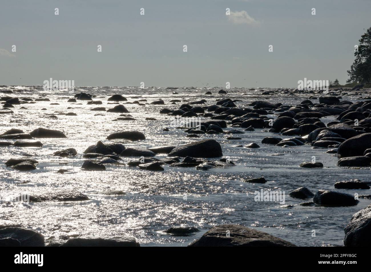 Dark rocky sea beach with dark sky and sunset reflection in water Stock ...