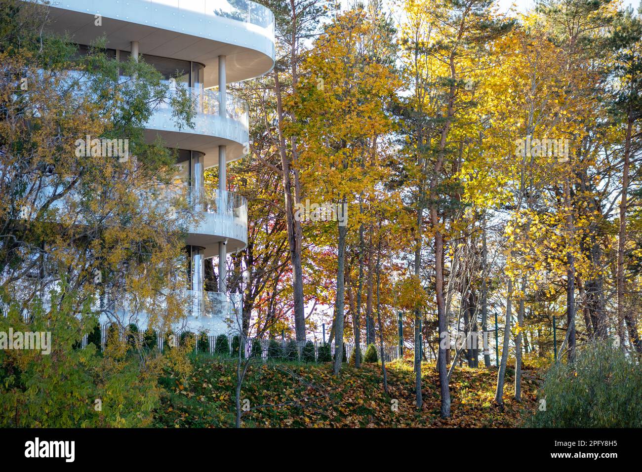 A building with glazed windows and yellow birch trees in front of the ...