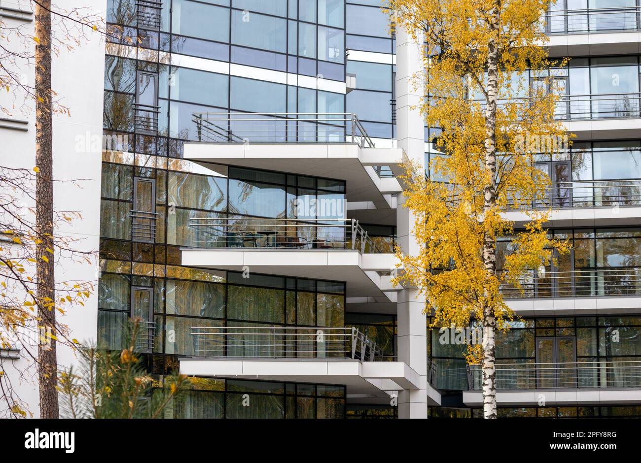 A building with glazed windows and yellow birch trees in front of the ...