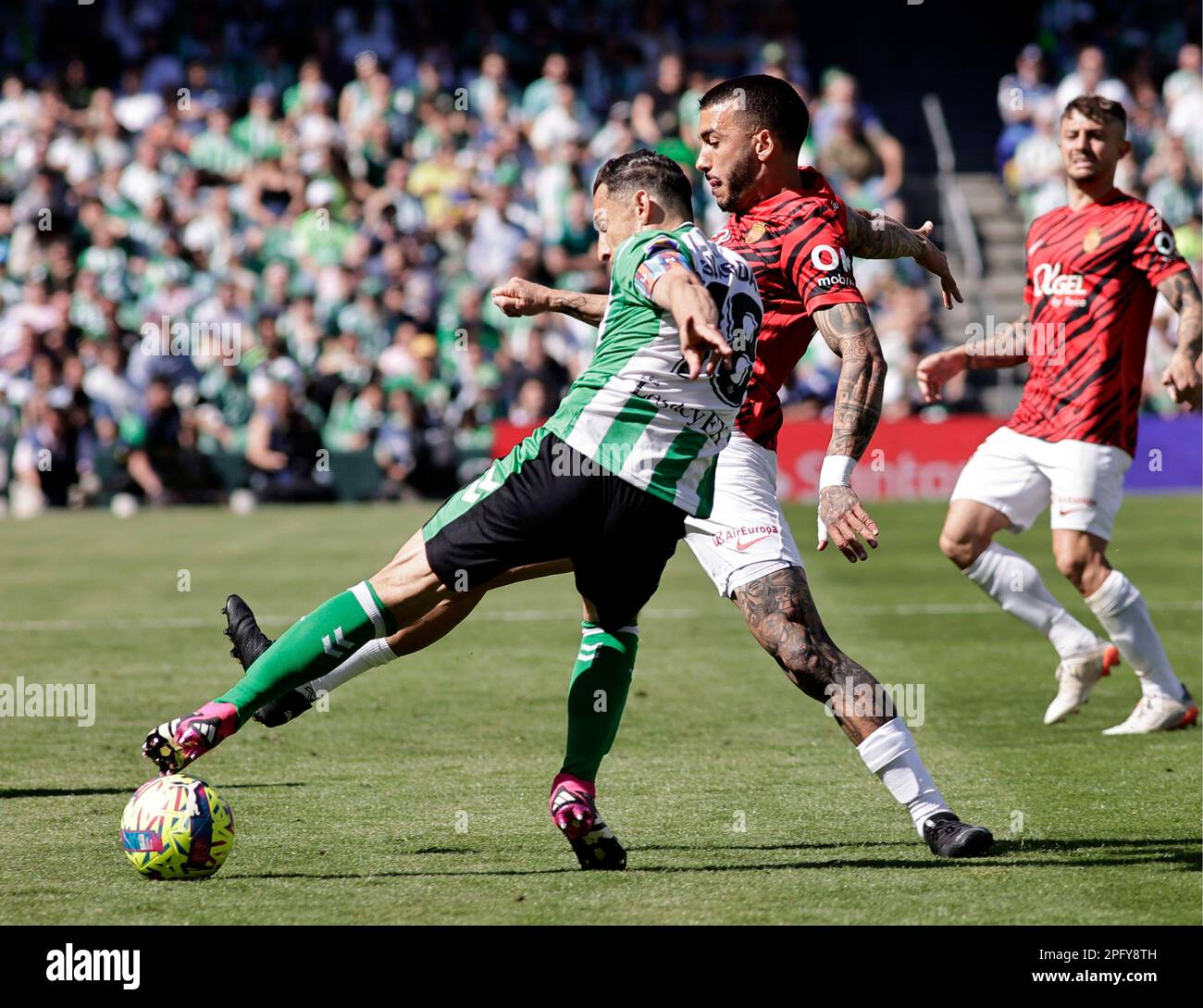 Spanish La Liga soccer match Betis vs Mallorca at Benito Villamarin ...