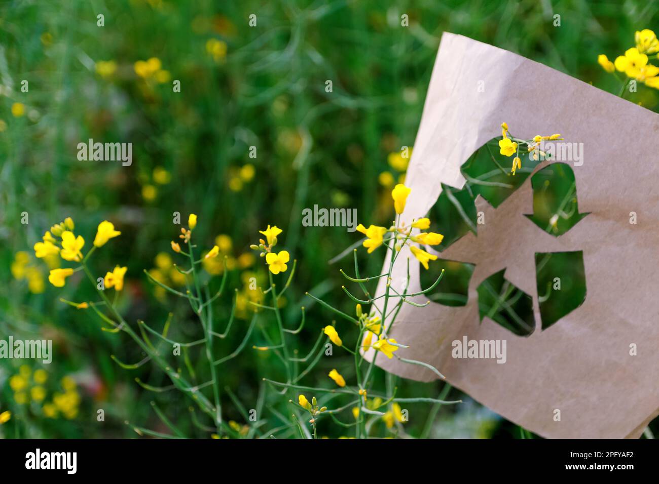 Eco sign. Defocus cut paper with the logo of recycling on dump garbage ...