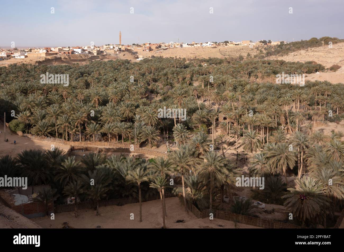 Nefta, Tunisia. 02nd Mar, 2023. Houses surround a palm oasis. Credit ...