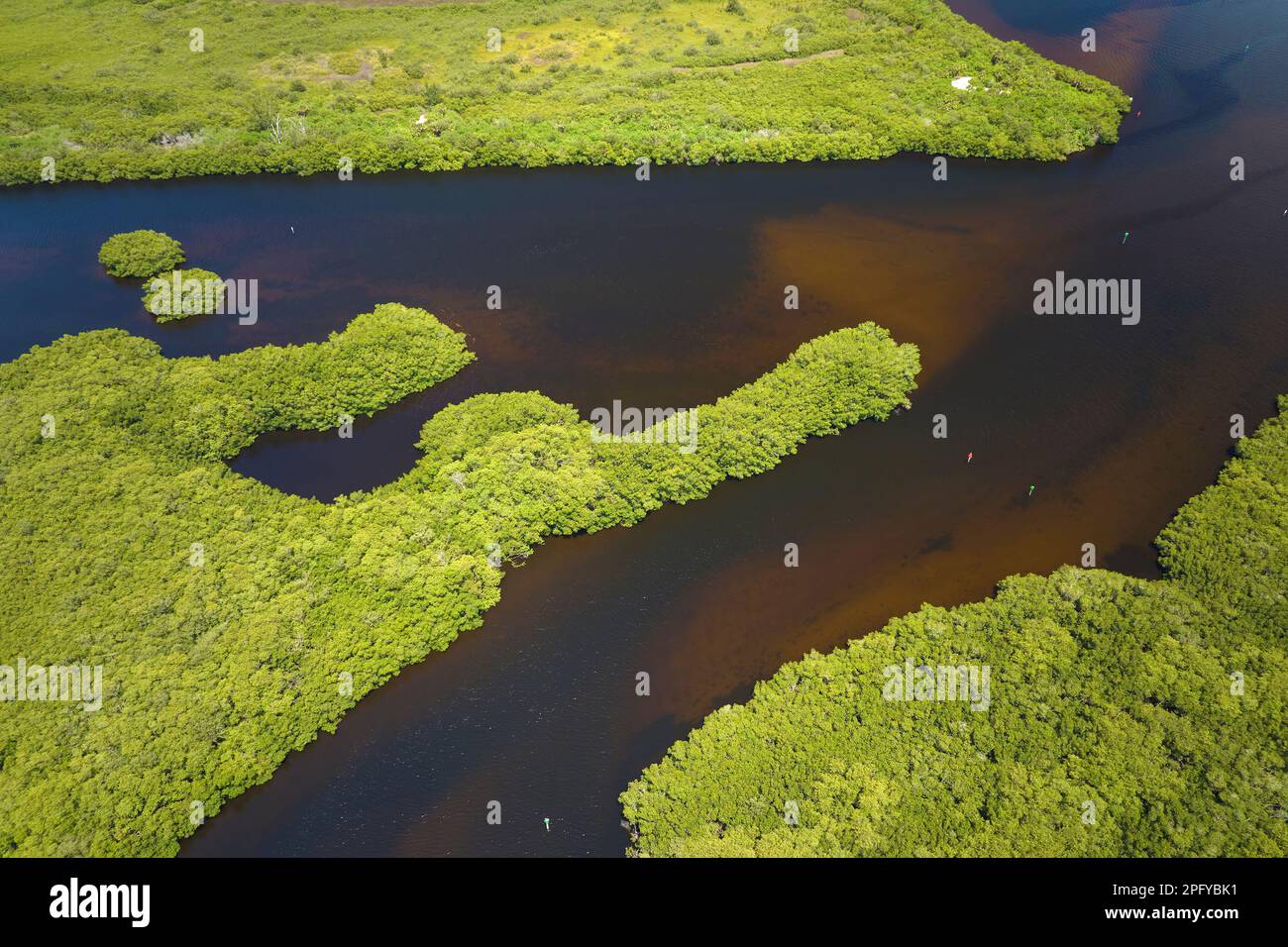 Aerial view of Florida wetlands with green vegetation between ocean ...