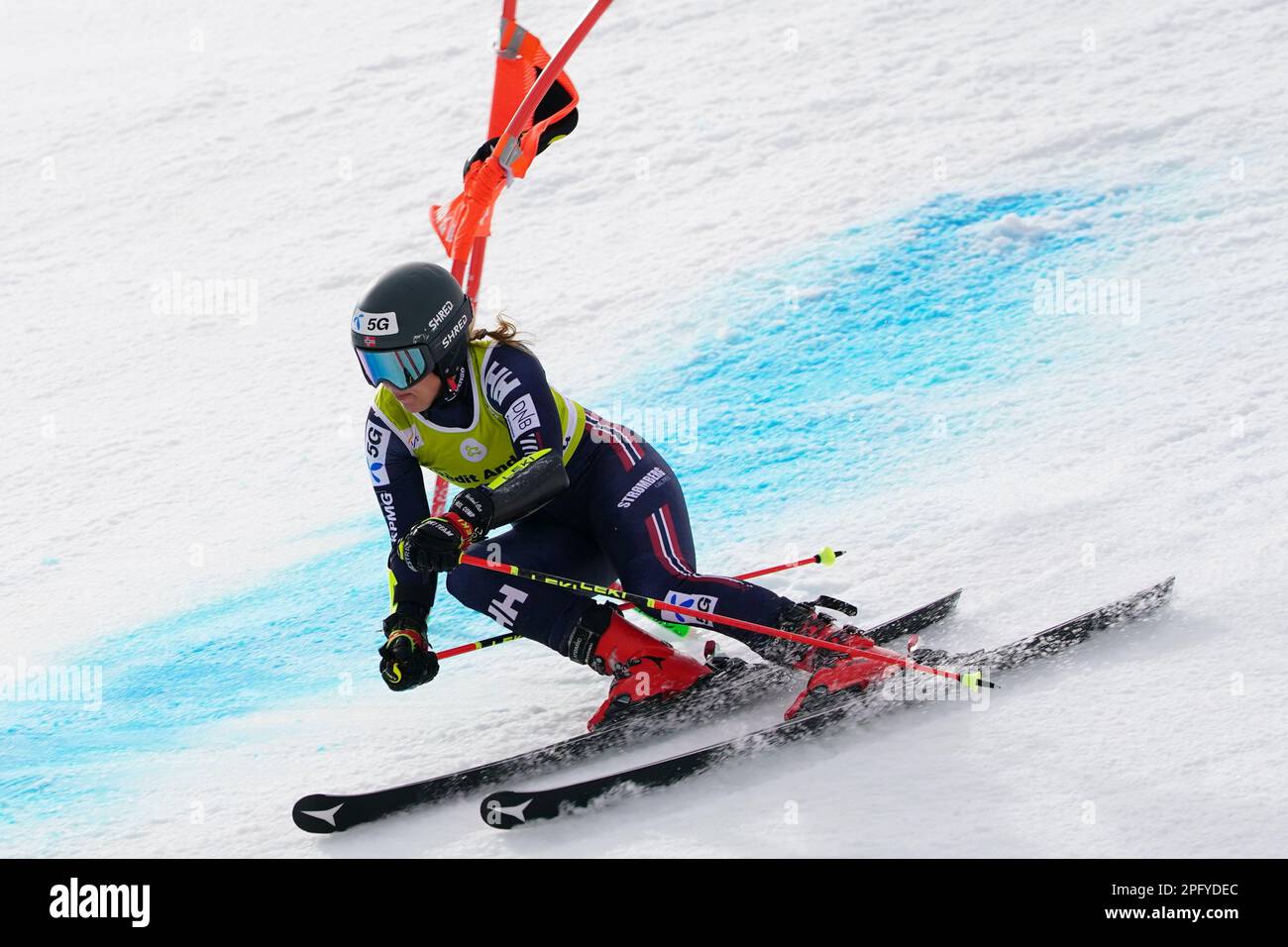 Mina fuerts holtmann hi-res stock photography and images - Alamy