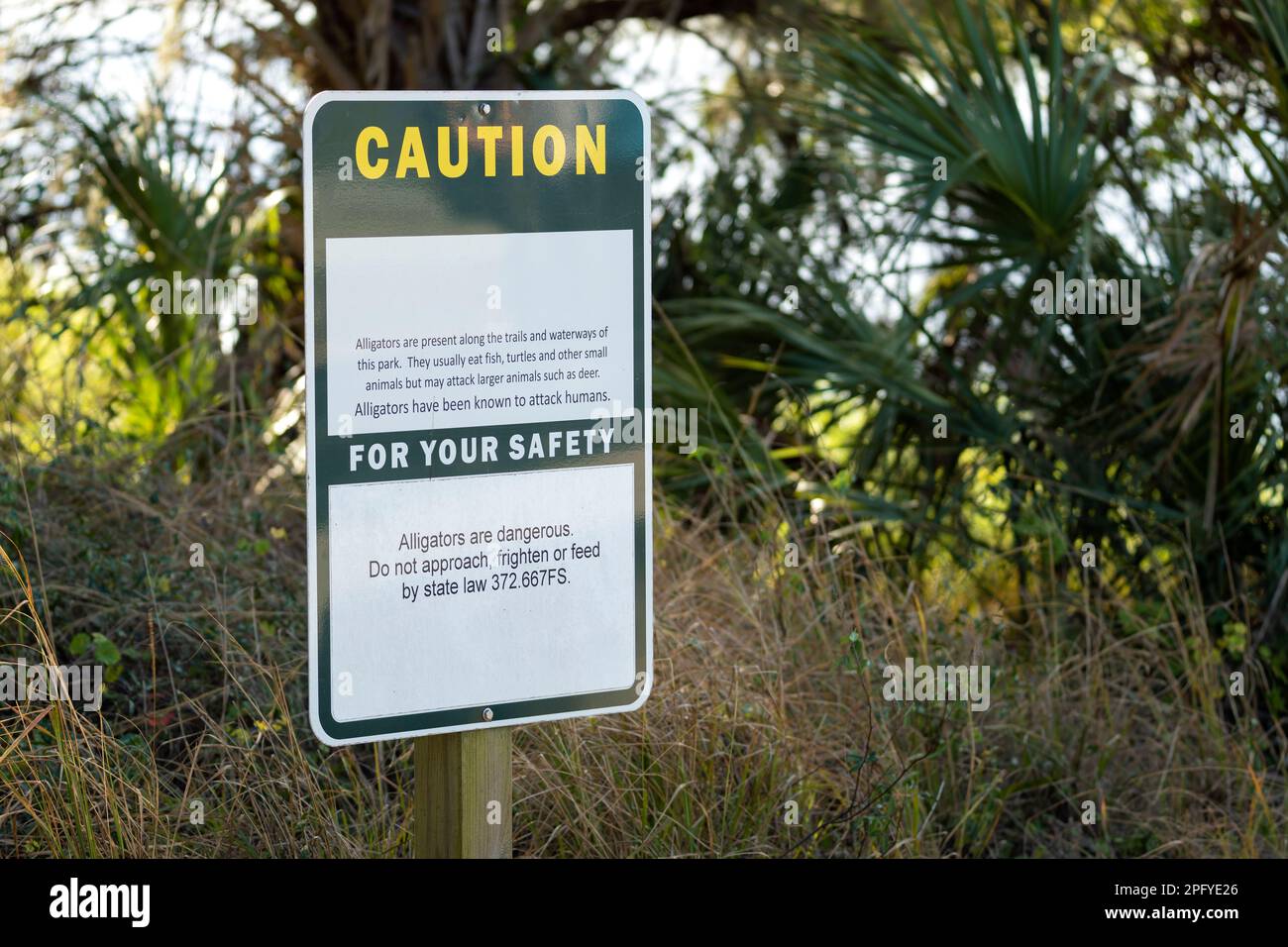 Alligators warning sign in Florida state park about caution and safety ...