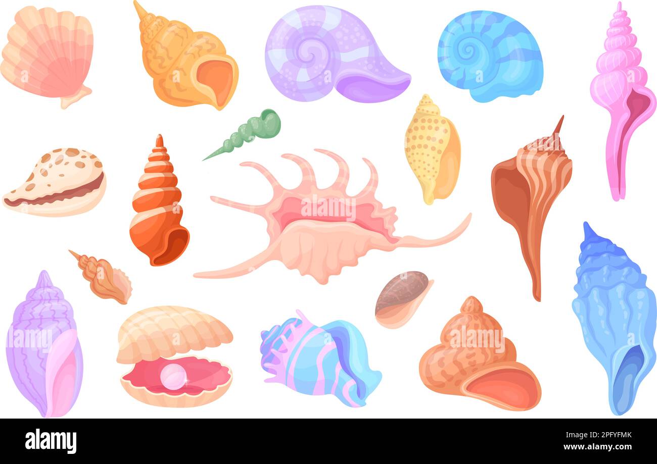 Cartoon scallops. Tropical concha sea snail oyster clam scallop ...