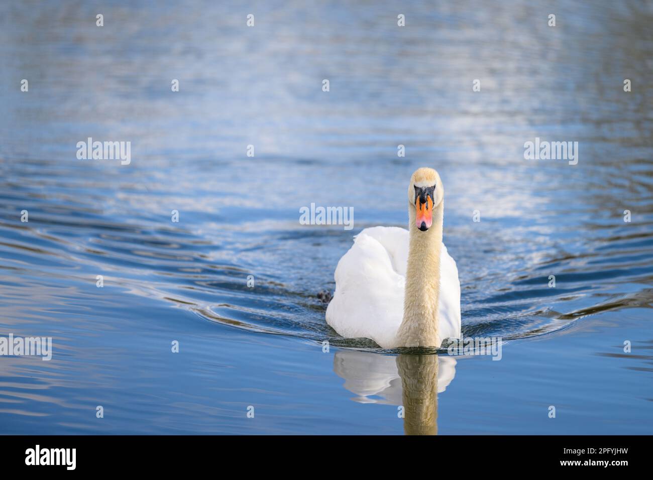 Glidingly hi-res stock photography and images - Alamy