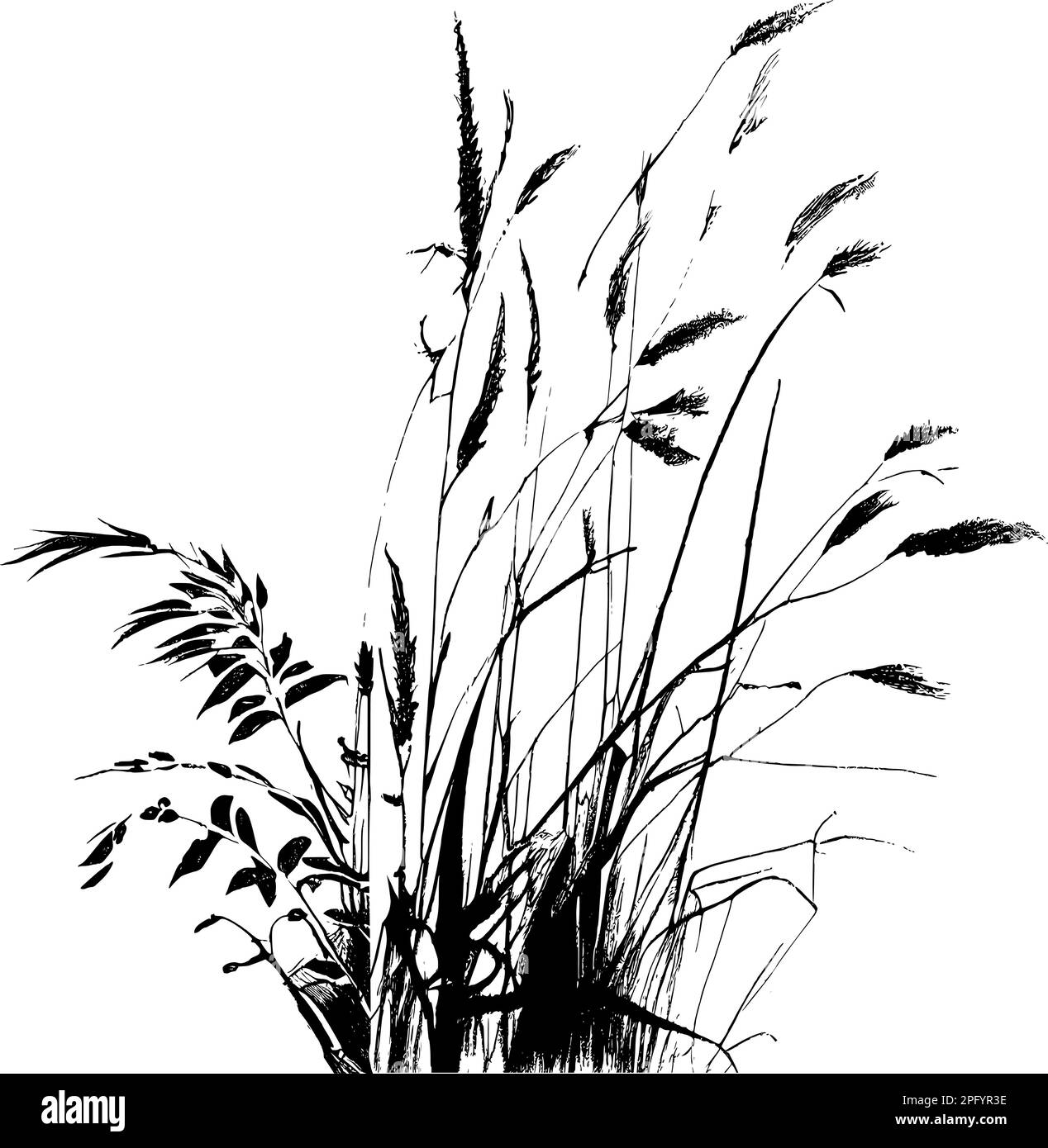 Monochrome image of a plant on the shore near a pond.Image of a ...