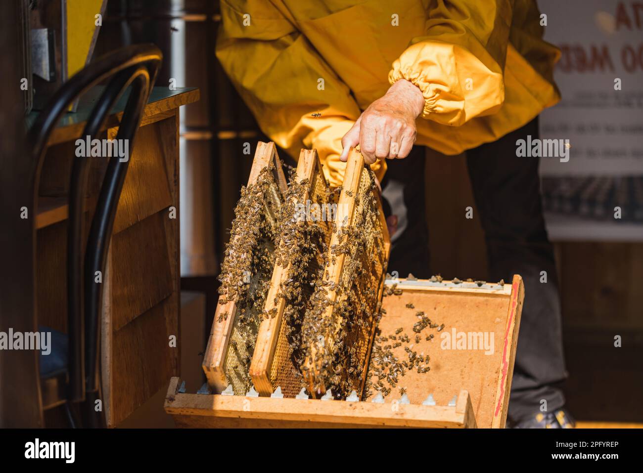 Beekeeping frame holder hi-res stock photography and images - Alamy