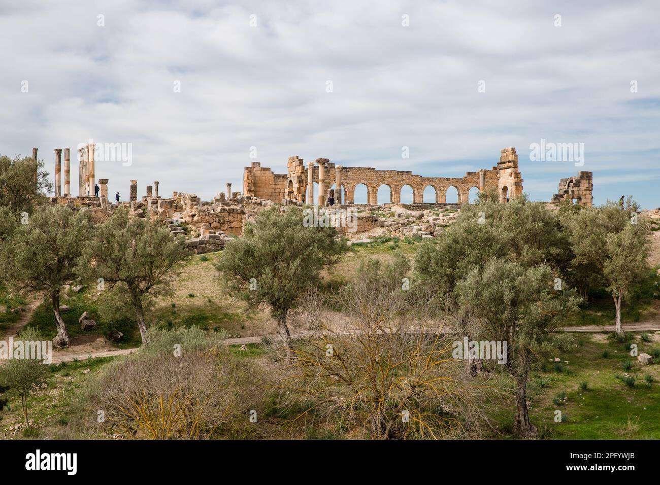 Roman ruins in Volubilis Morocco Stock Photo - Alamy