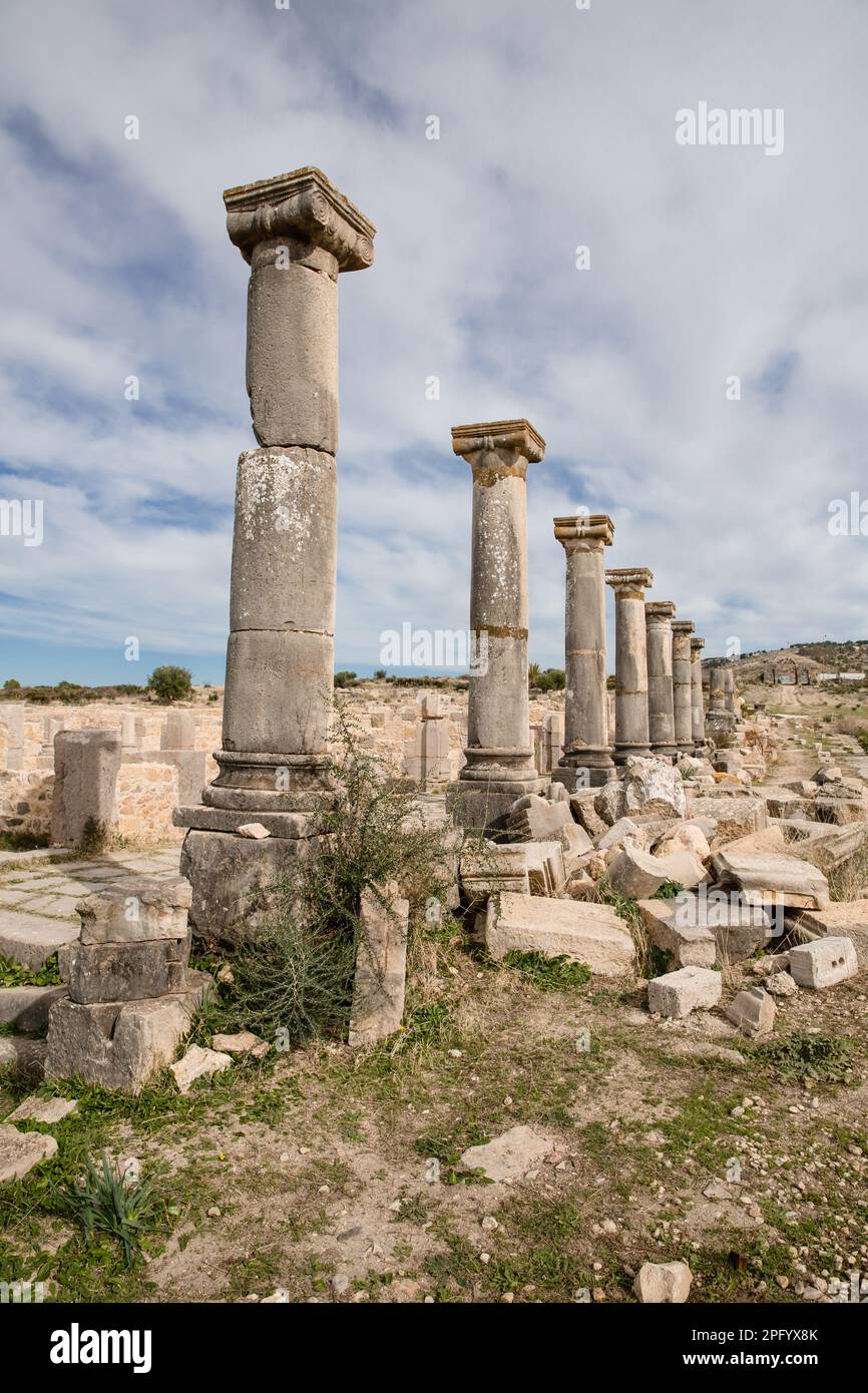 A row of columns in Volubilis Morocco Stock Photo - Alamy