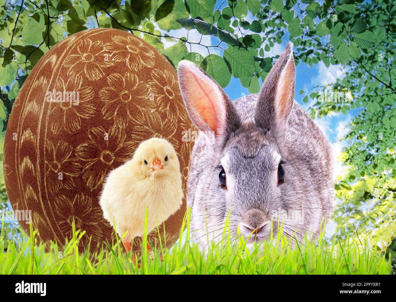 Easter card - A cute chick together with a cute rabbit In an idyllic ...