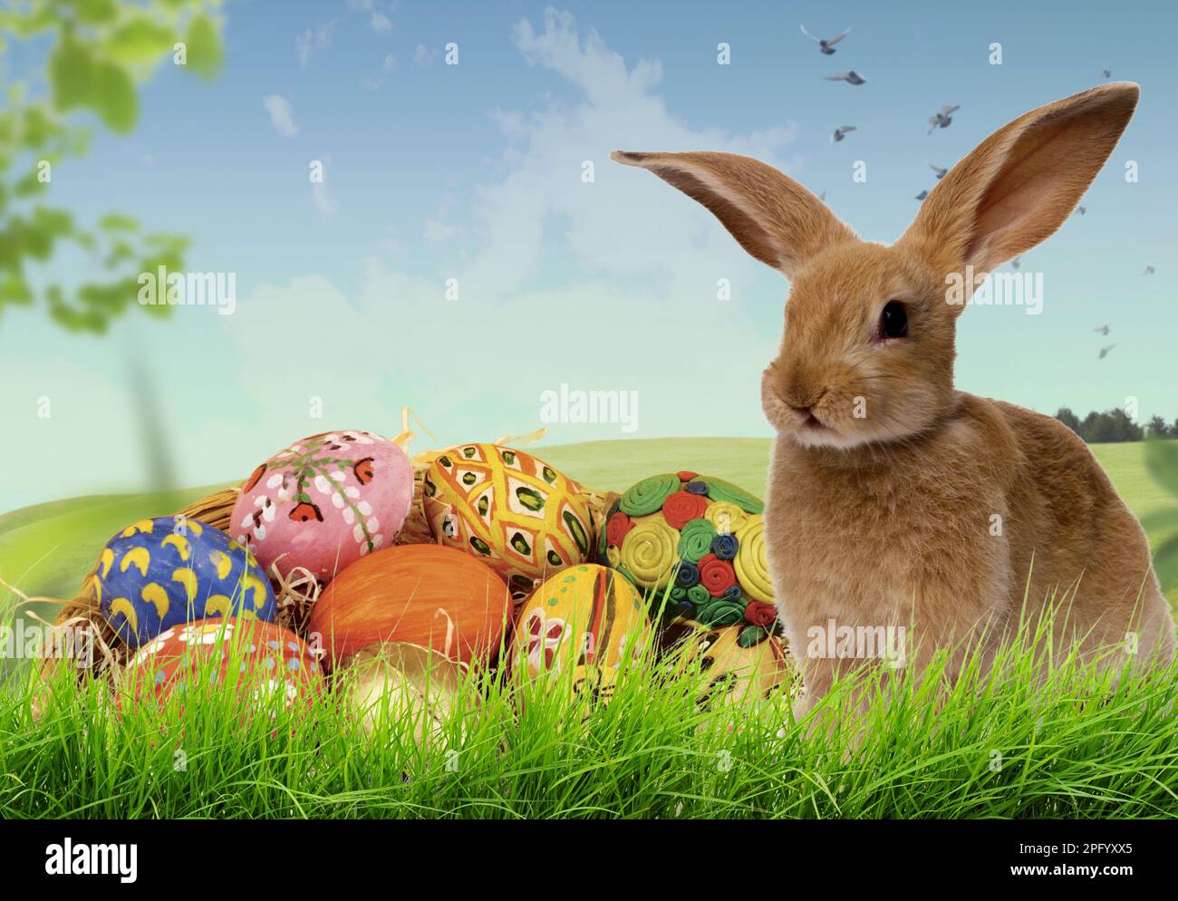 Sunny the easter bunny hi-res stock photography and images - Alamy